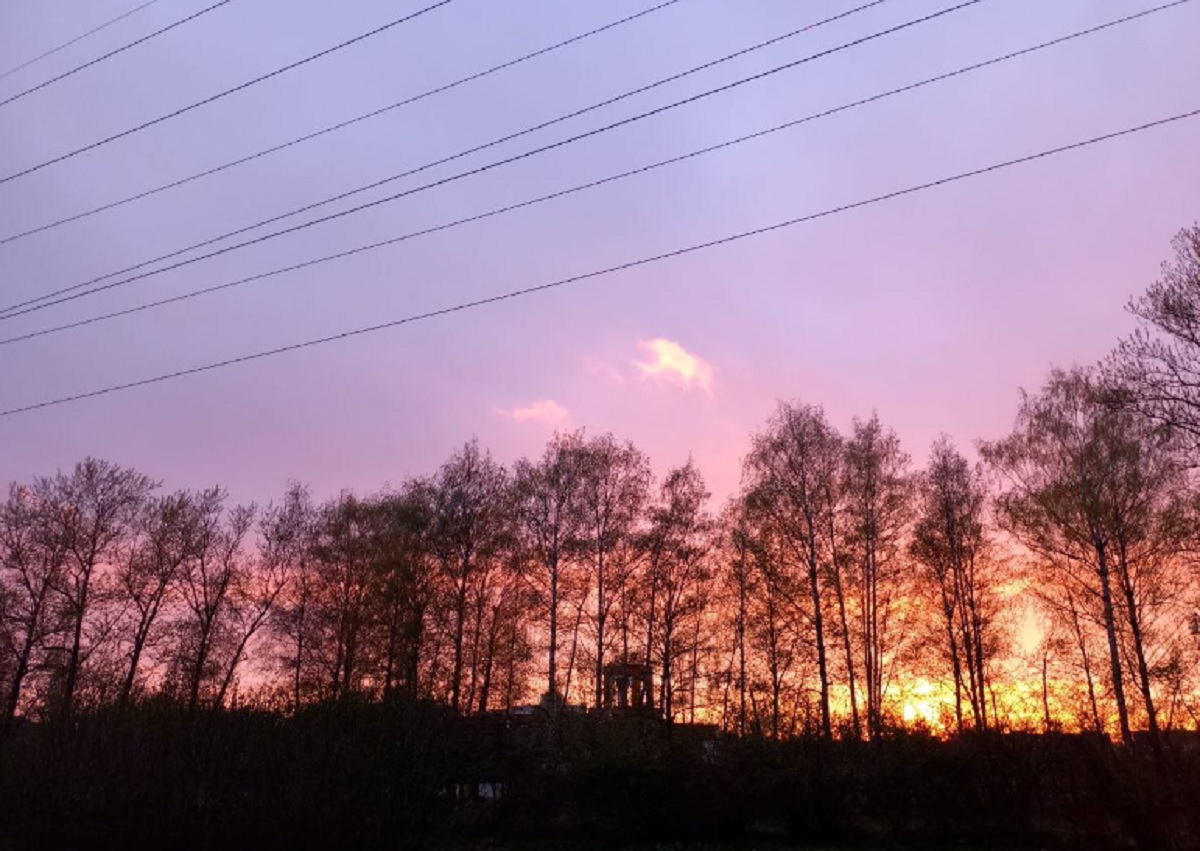 Новую теорию о жизни после смерти Orch-OR оценили в научном мире